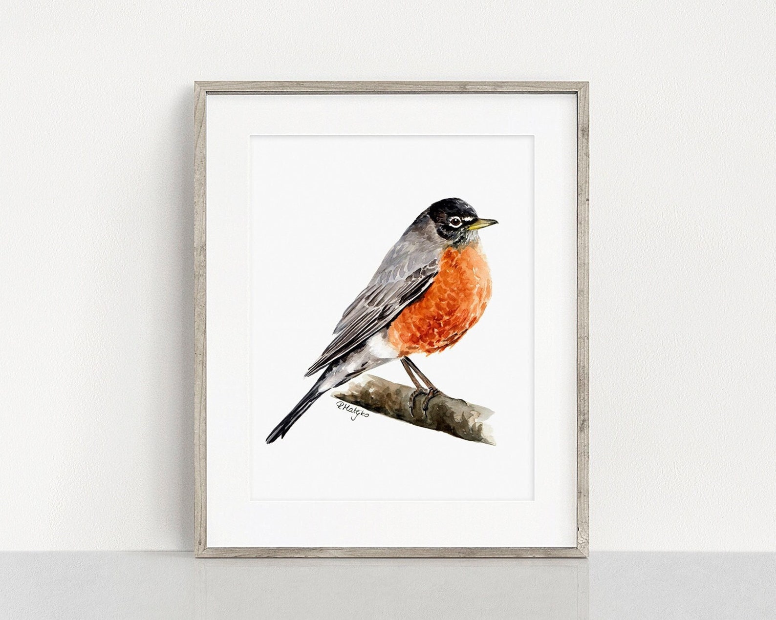 American Robin Art PRINT Robin Bird Watercolor Painting Wall - Etsy