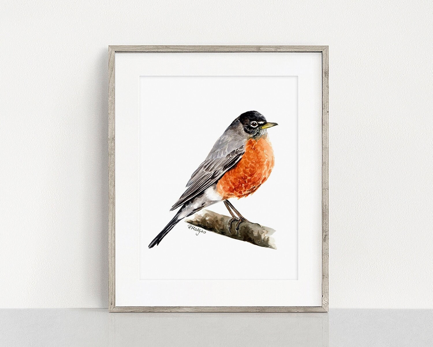 Robin Bird Paintings
