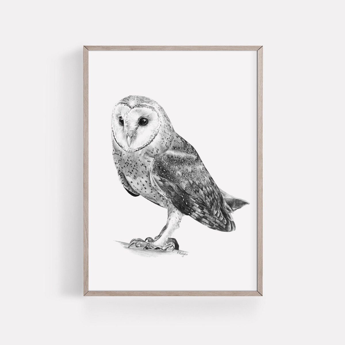 PRINTABLE Barn Owl Art Print Bird of Prey Pencil Drawing Owl - Etsy