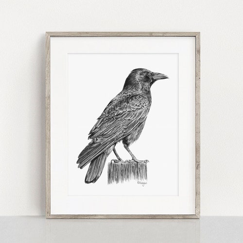 Printable Raven Art Print Bird Pencil Drawing Wall Art Etsy