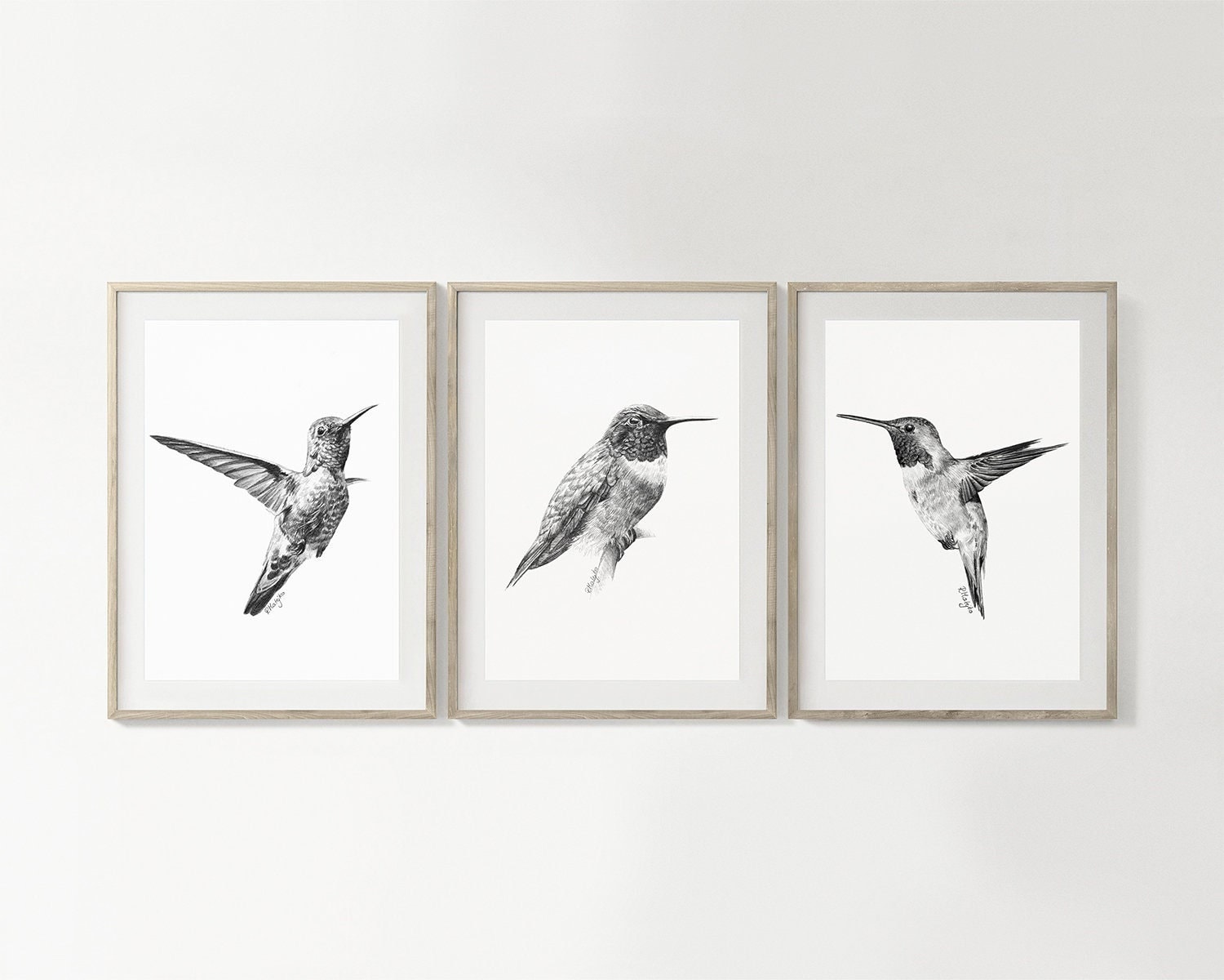 PRINTABLE Hummingbirds Art Print Set of 3 Hummingbirds Pencil - Etsy