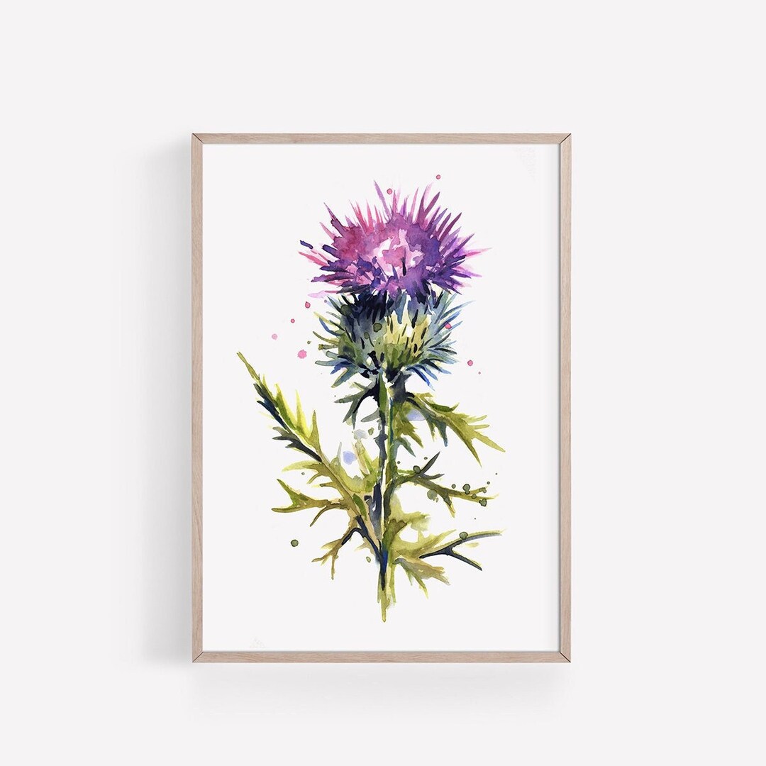 Thistle Art PRINT, Watercolour Scottish Thistle Print, Spear Thistle ...
