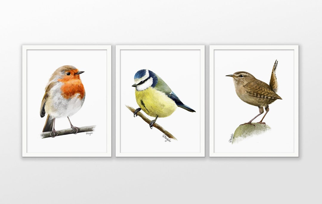 PRINTABLE Bird Print Set of 3, Robin Blue Tit Wren Wall Art, Bird ...