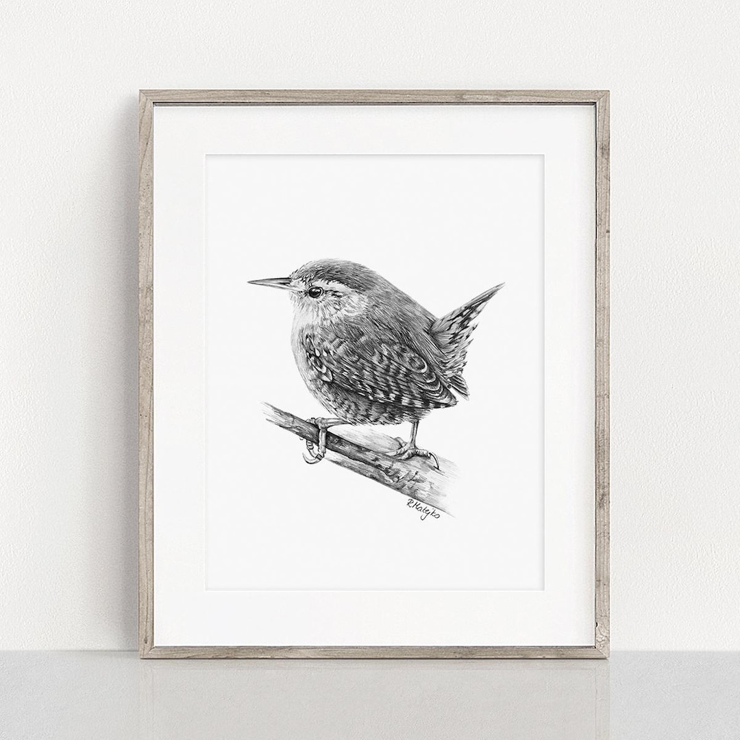 Wren Bird Art PRINT, Wren Pencil Drawing Wall Art, Garden Bird Jenny ...
