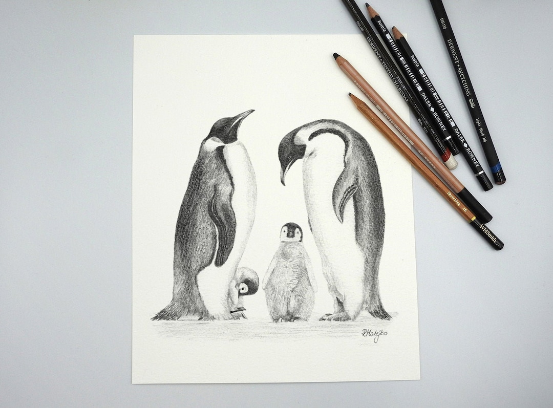 ORIGINAL Penguins Pencil Drawing, Penguin Seabird Wall Art, Nature ...