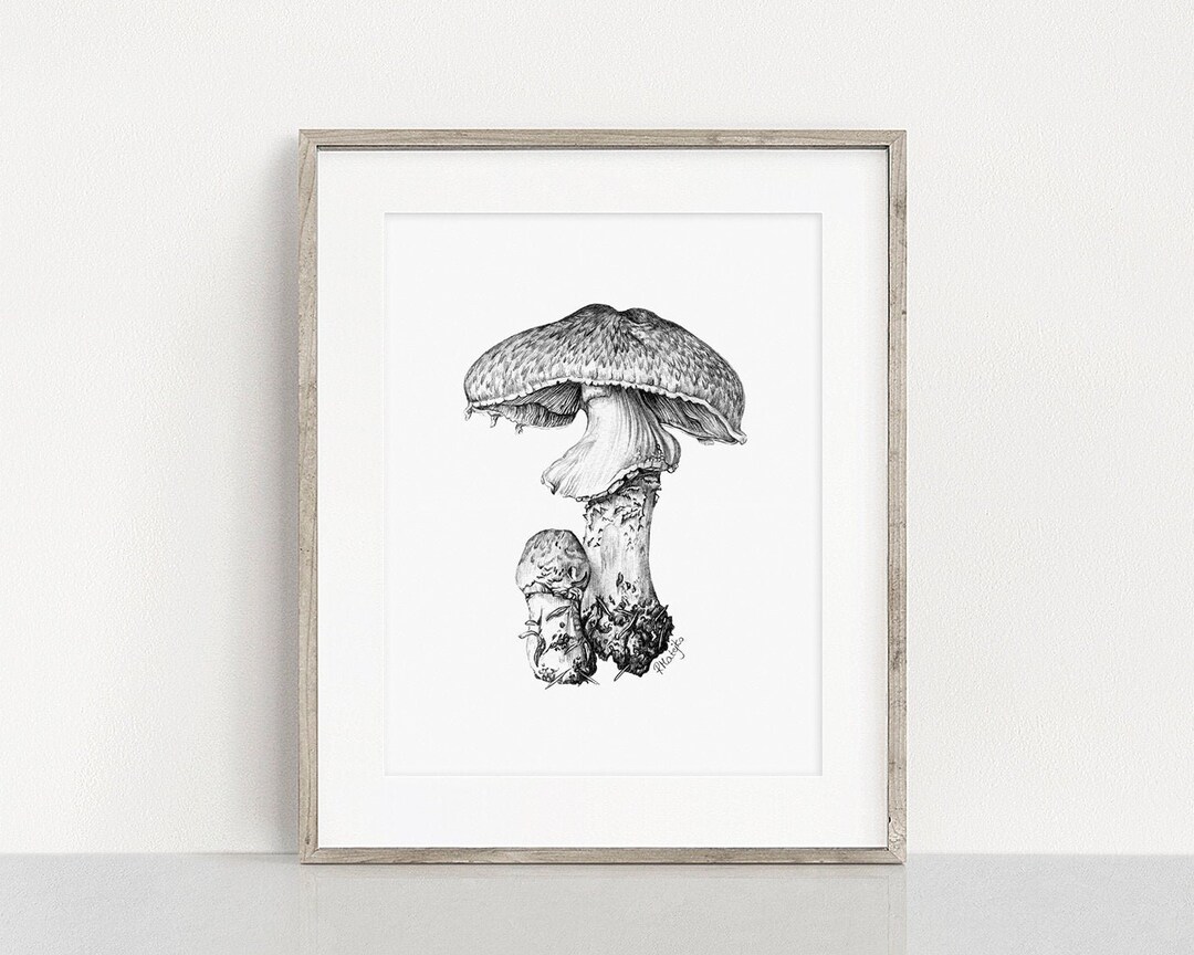 PRINTABLE Mushroom Art Print, Graphite Pencil Drawing, Autumn Fall ...