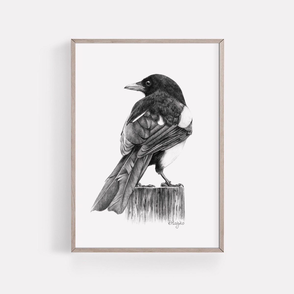 PRINTABLE Magpie Art Print, Magpie Bird Pencil Drawing Wall Art, Corvid ...