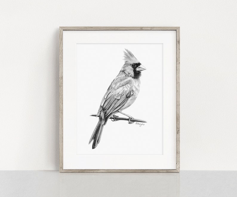 PRINTABLE Northern Cardinal Art Print Red Cardinal Pencil - Etsy