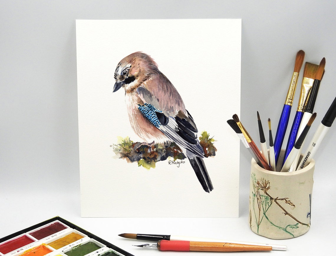 ORIGINAL Jay Watercolor Painting, Eurasian Jay Bird Wall Art, British ...