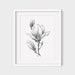 PRINTABLE Magnolia Art Print Graphite Pencil Drawing - Etsy