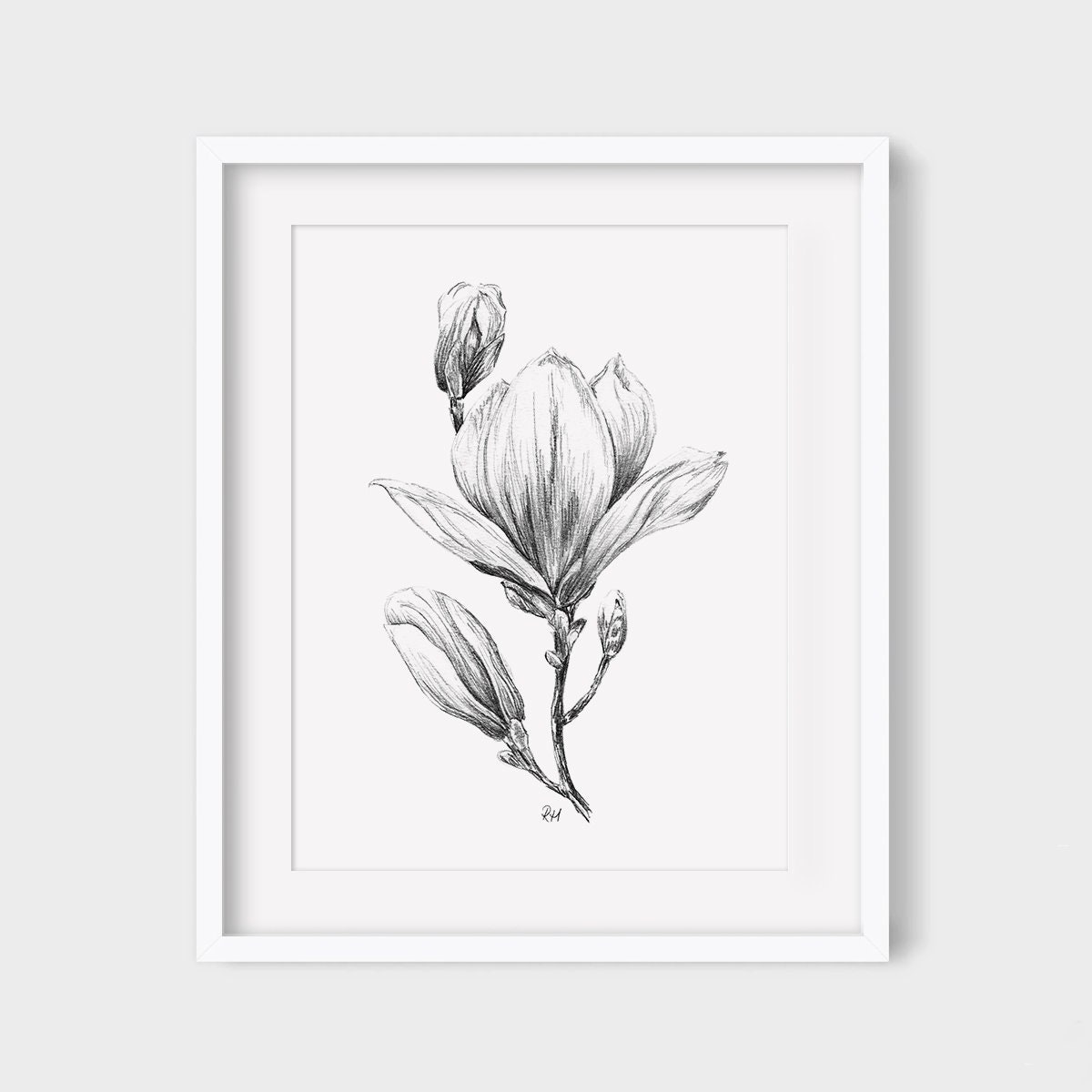 PRINTABLE Magnolia Art Print, Graphite Pencil Drawing, Botanical Wall ...