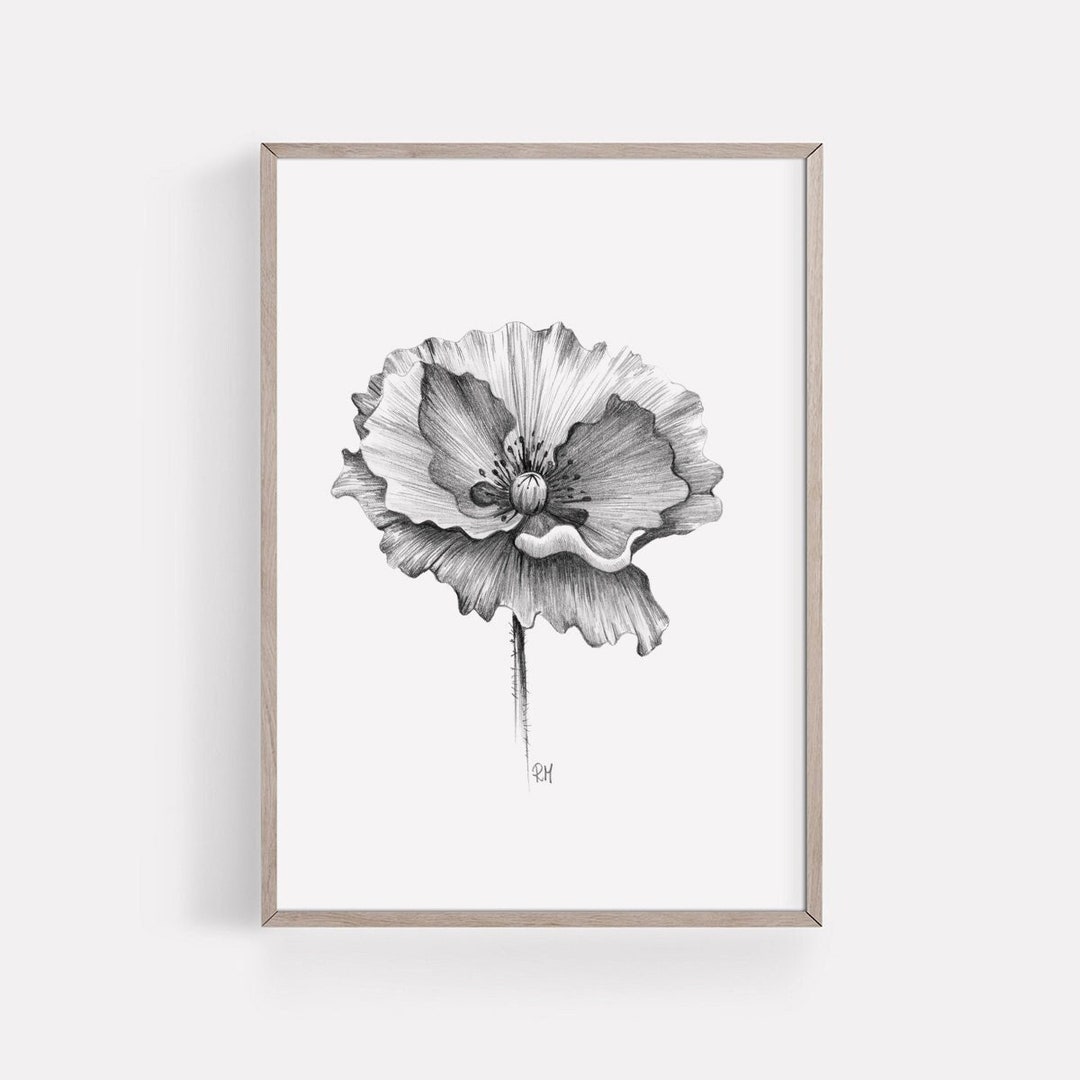 PRINTABLE Poppy Art Print, Poppy Graphite Pencil Drawing, Printable ...