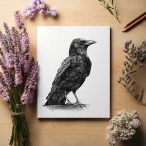 ORIGINAL Raven Pencil Drawing, Carrion Crow Bird Wall Art, Nature ...