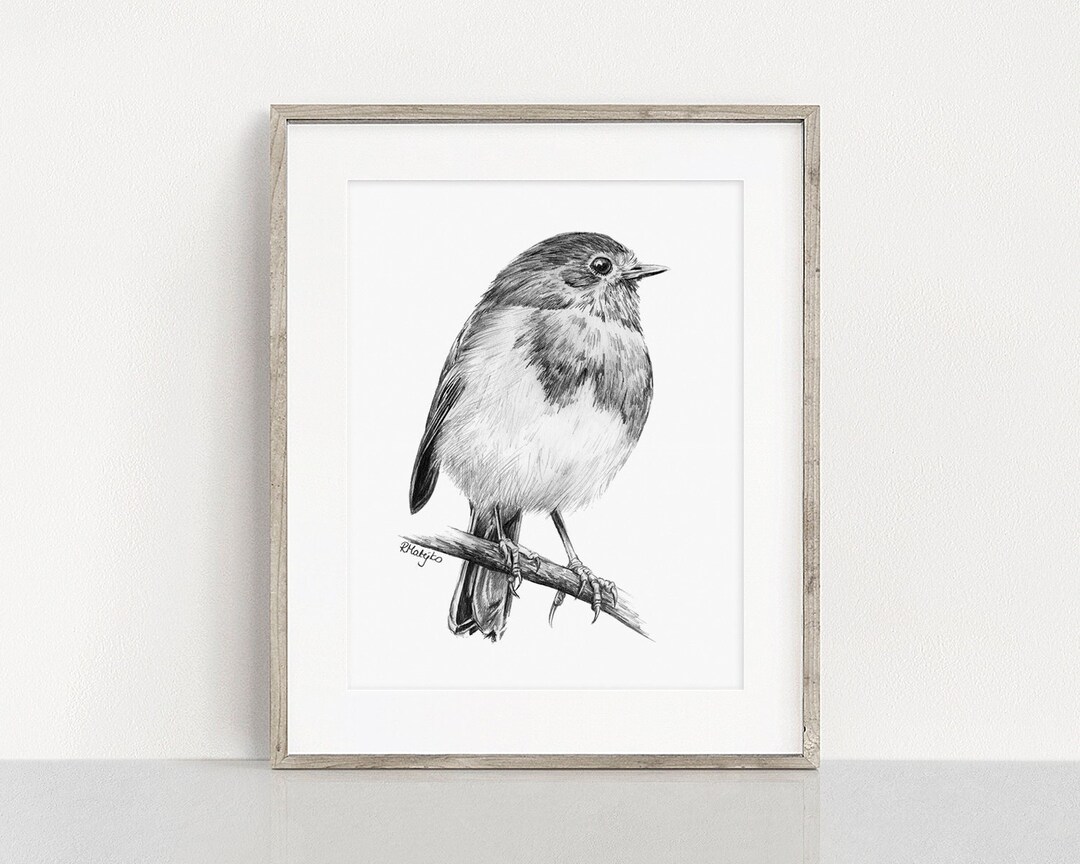 Robin Art PRINT, Robin Redbreast Bird Pencil Drawing Wall Art, British ...