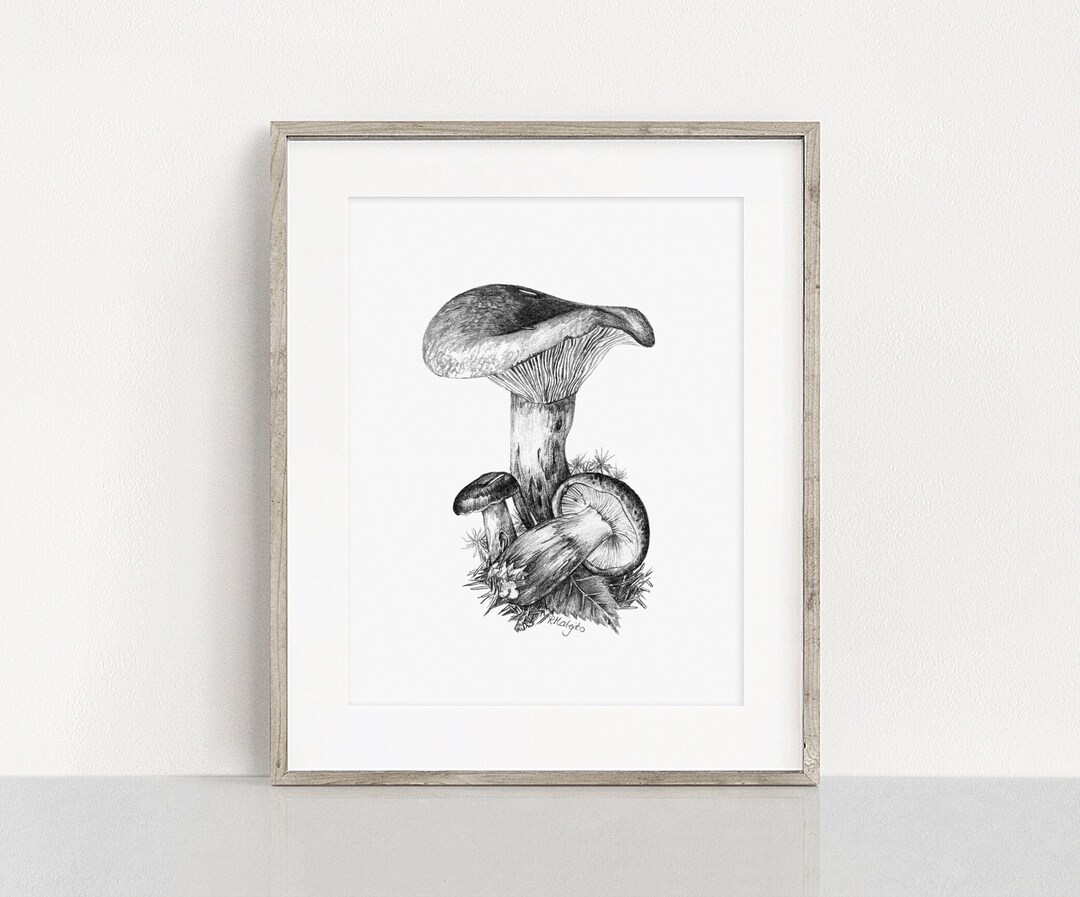 PRINTABLE Mushroom Art Print, Graphite Pencil Drawing, Autumn Fall ...