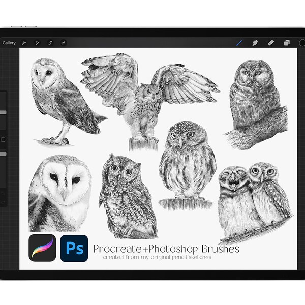 Realistic Owl - Etsy