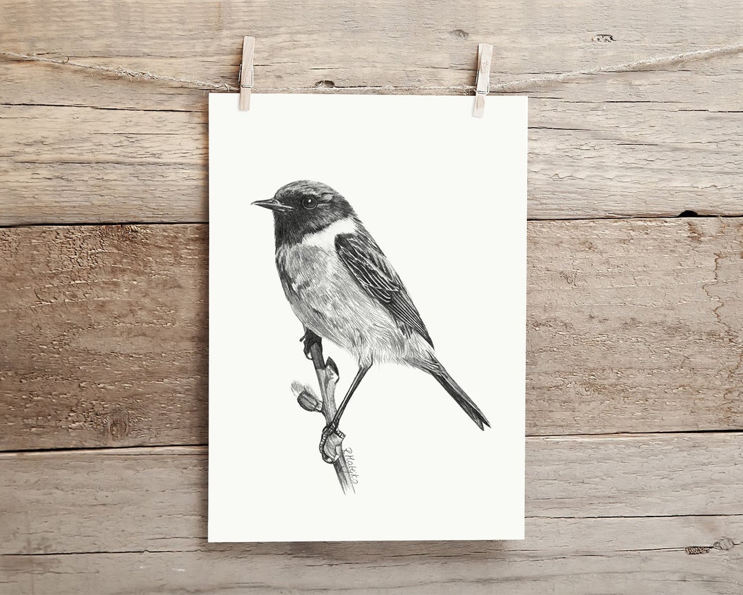 ORIGINAL Stonechat Pencil Drawing, Stonechat Bird Wall Art, Nature ...