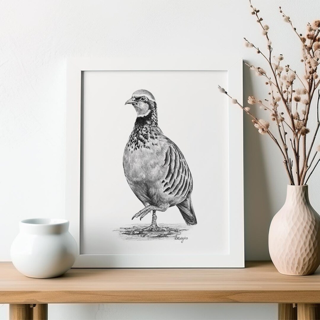 Partridge Art PRINT, Pencil Drawing Wall Art, Game Bird Sketch ...