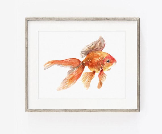 Goldfish Art PRINT Watercolour Gold Fish Painting Aquarium | Etsy