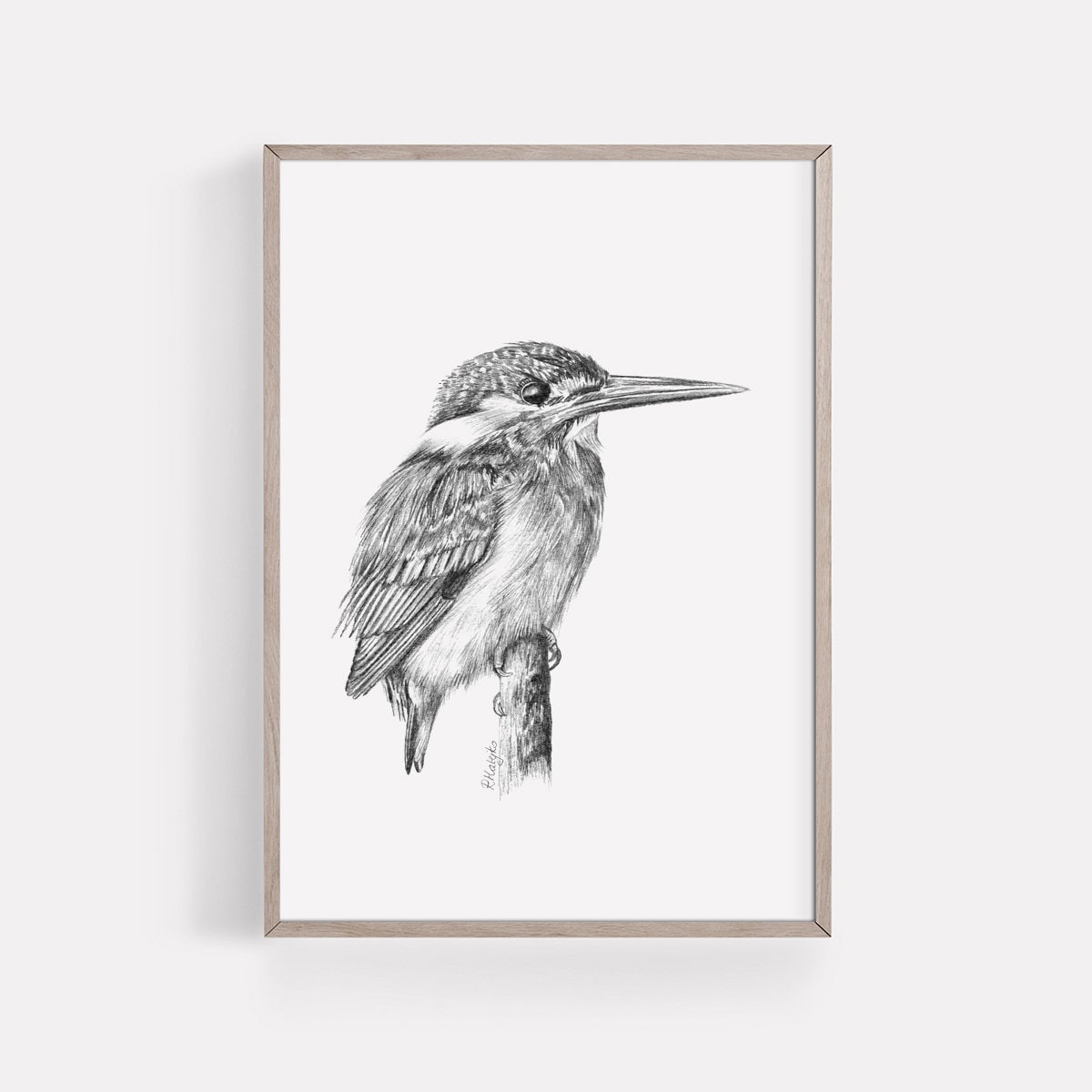 Kingfisher Bird Drawing