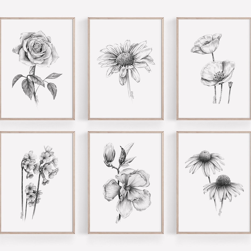 Pencil Drawing Wild Flowers - Etsy UK