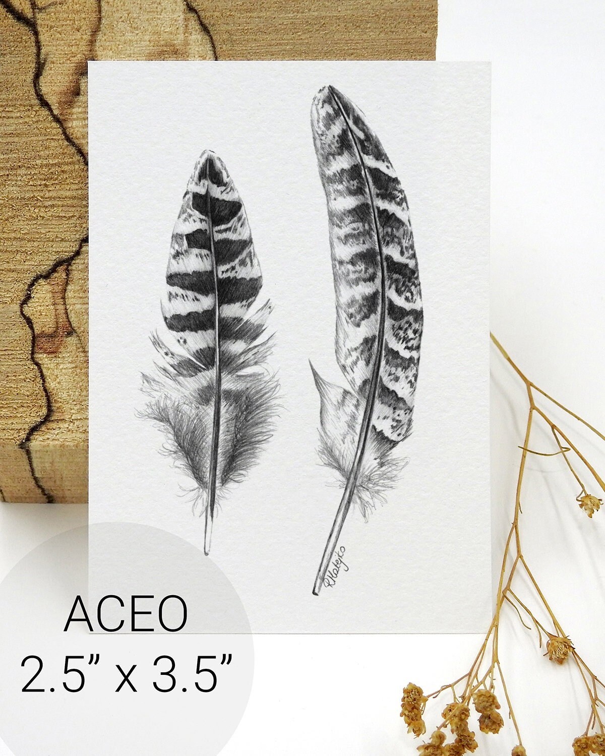 Pheasant Feather Art