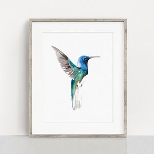 PRINTABLE Hummingbirds Art Set of 4 - Watercolor Hummingbird Painting ...