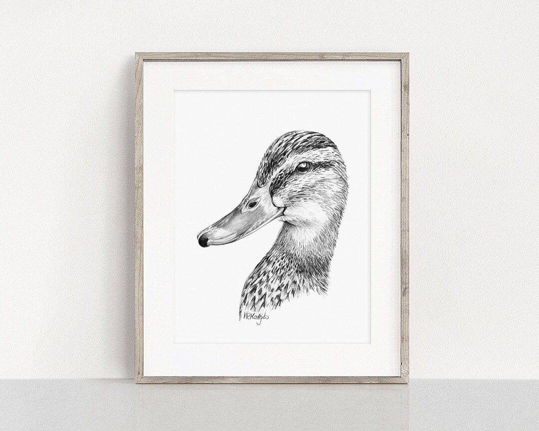 Duck Art PRINT, Duck Pencil Drawing Wall Art, Mallard Lake Coastal ...