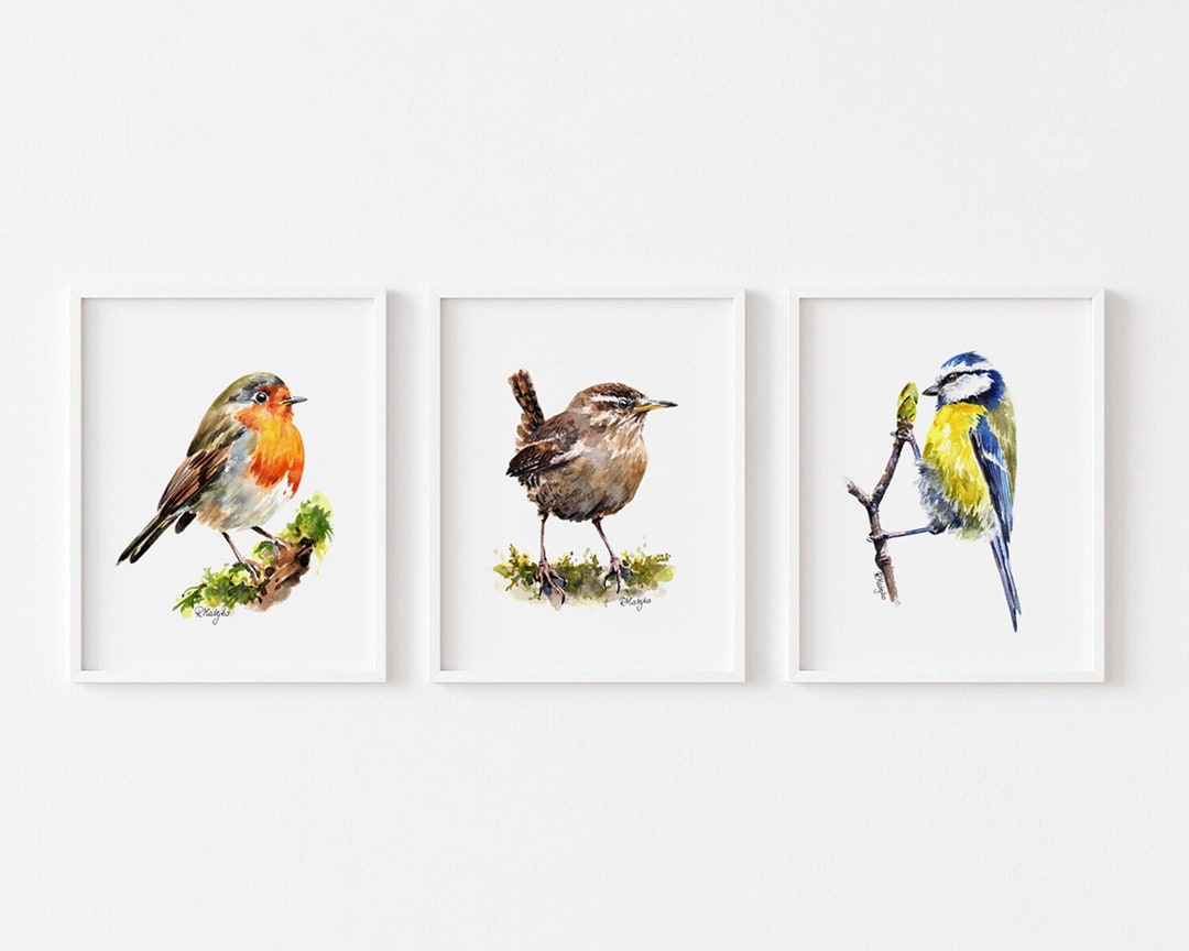 Garden Birds PRINT Set of 3, Robin Wren Blue Tit Watercolour Painting ...