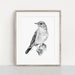 PRINTABLE Nightingale Art Print, Nightingale Pencil Drawing Wall Art ...