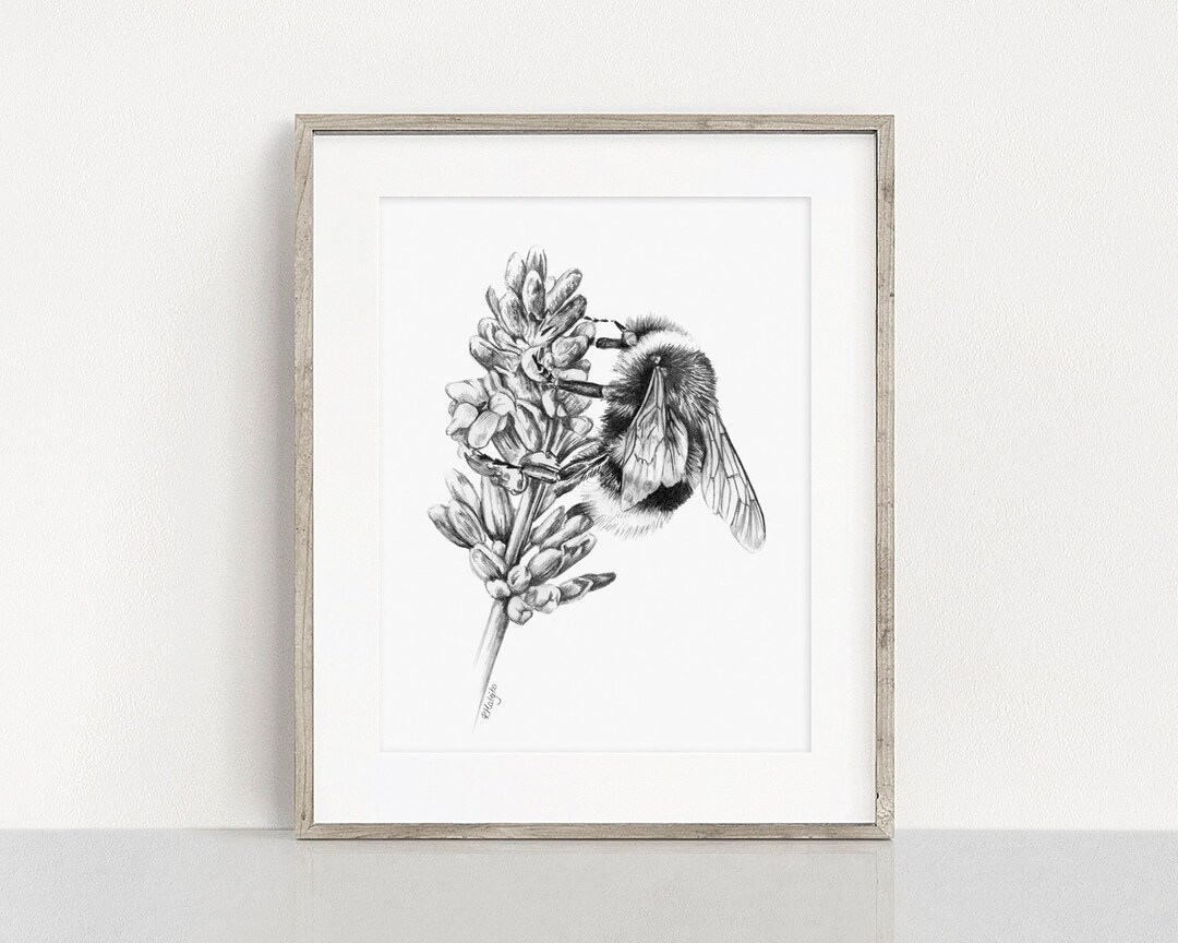 PRINTABLE Bumblebee Art Print, Humble Bee Graphite Pencil Drawing Wall ...