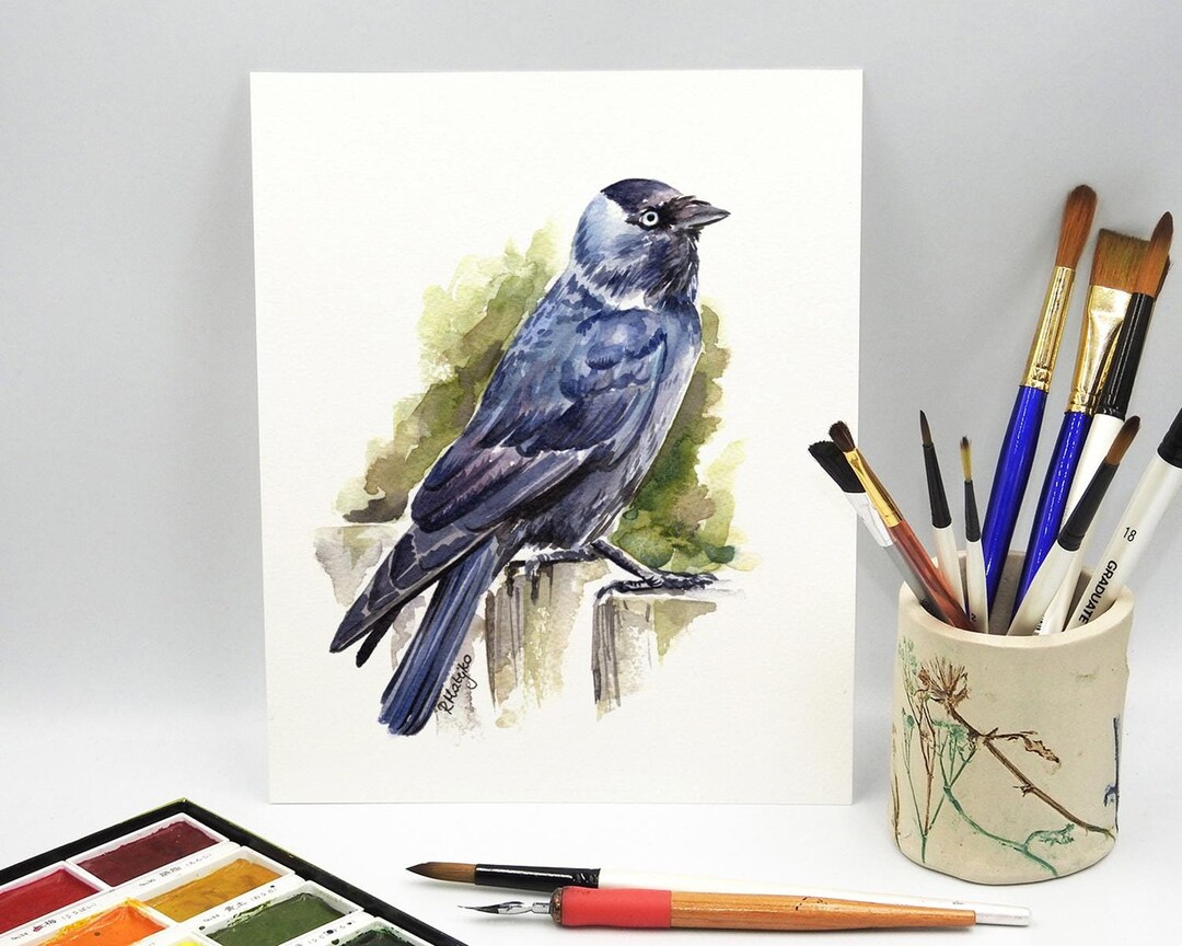 ORIGINAL Jackdaw Watercolor Painting, Crow Bird Wall Art, Corvid Unique ...