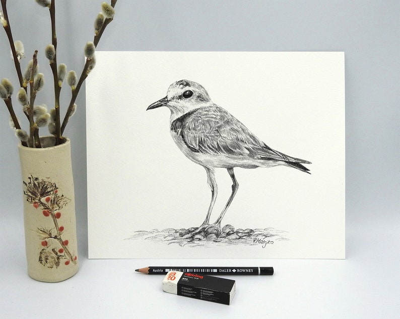 ORIGINAL Plover Bird Pencil Drawing, Wading Bird Wall Art, Wetland Bird ...