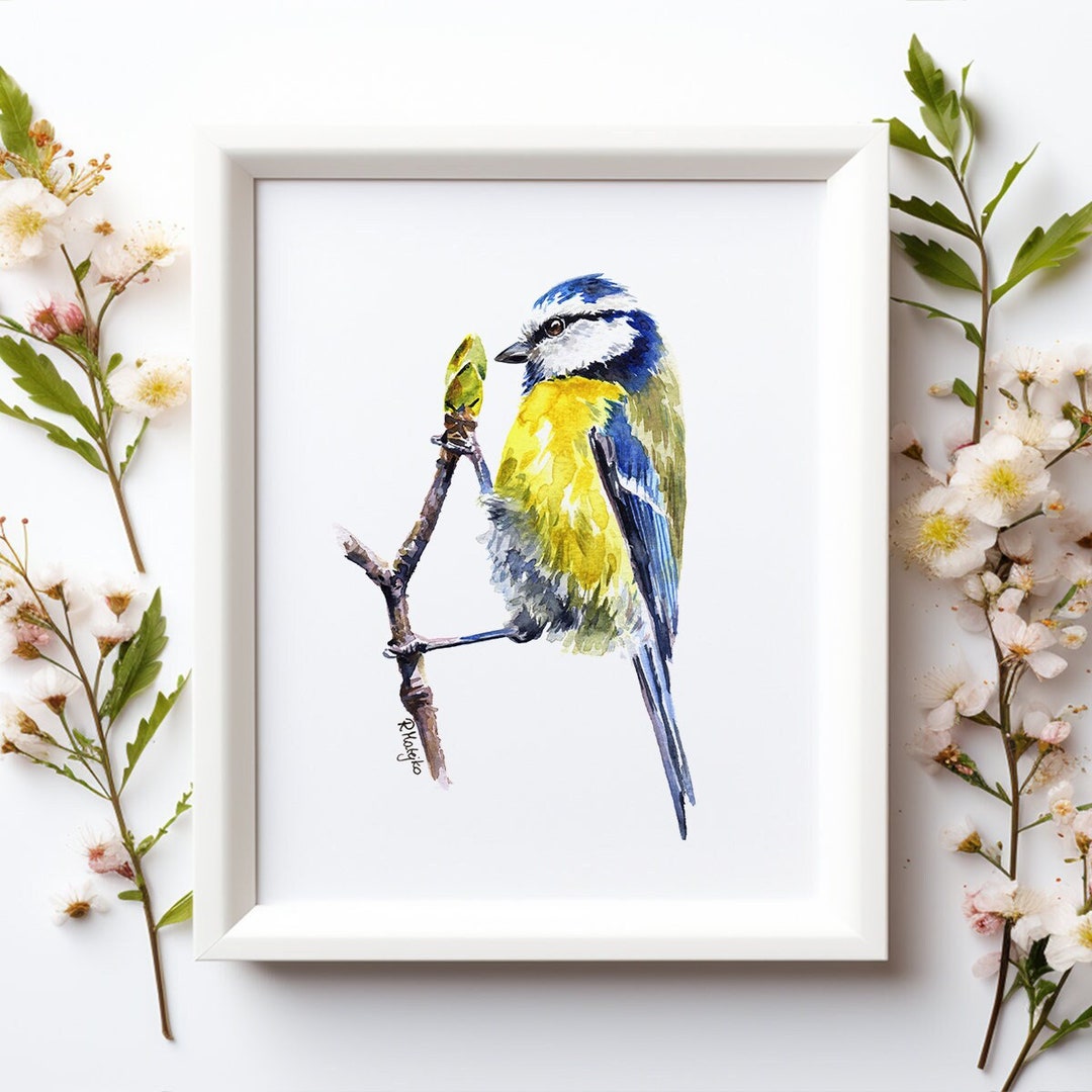 Blue Tit Wall Art PRINT, Garden Bird, Blue Tit Wildlife Art Print From ...