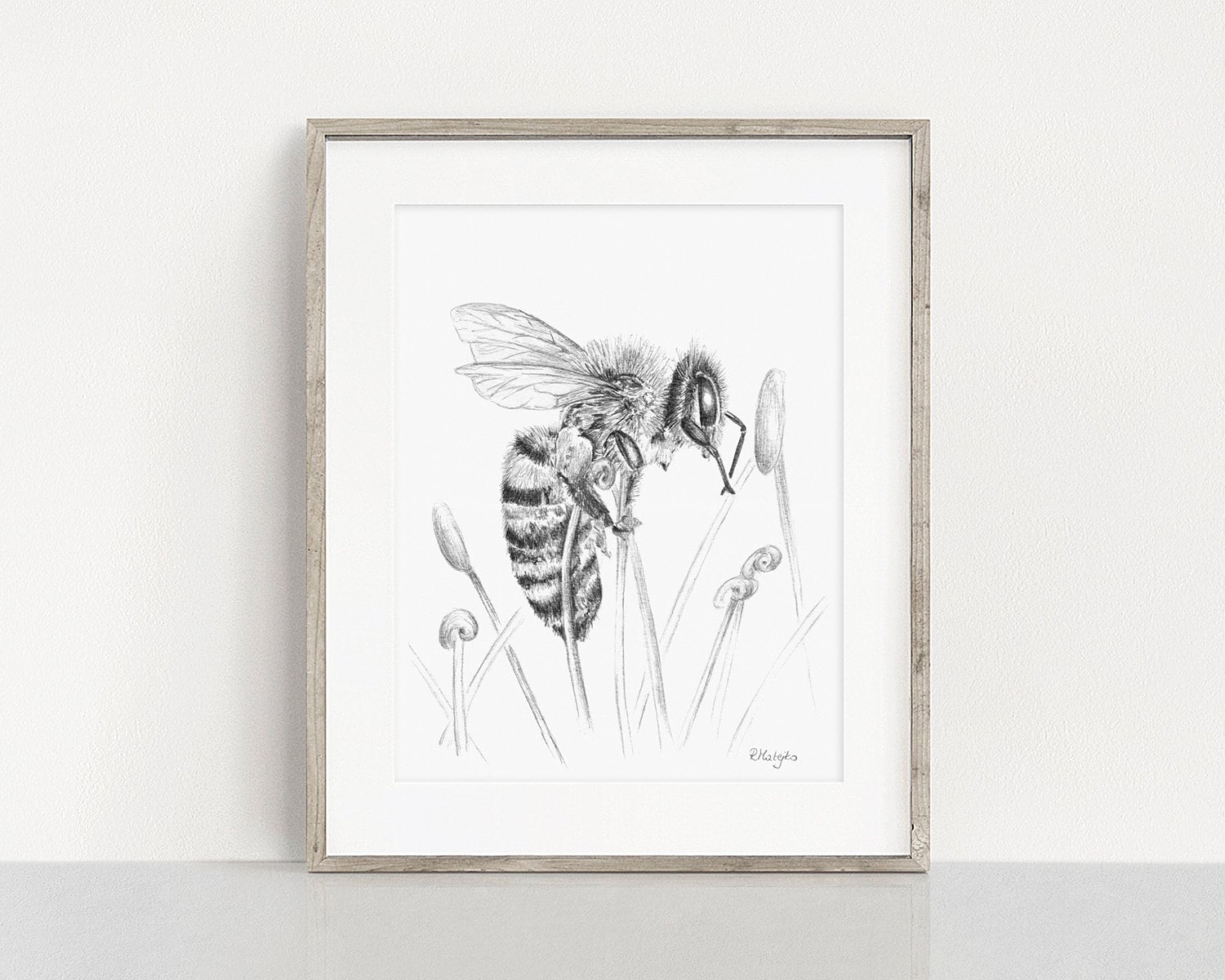 PRINTABLE Honey Bee Art Print, Honey Bee Graphite Pencil Drawing Wall ...