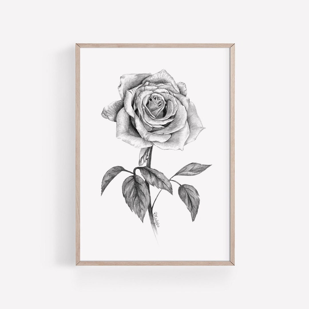 PRINTABLE Rose Art Print, Graphite Pencil Drawing, Botanical Wall Art ...