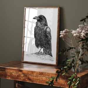 Raven Bird Art PRINT, Pencil Drawing Wall Art, Corvid Crow Bird Print ...
