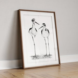 PRINTABLE Stilt Birds Art Print, Wading Birds Pencil Drawing, Water ...