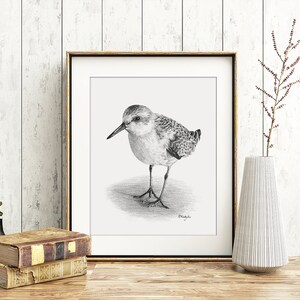 PRINTABLE Sanderling Art Print, Sandpiper Pencil Drawing Wall Art ...