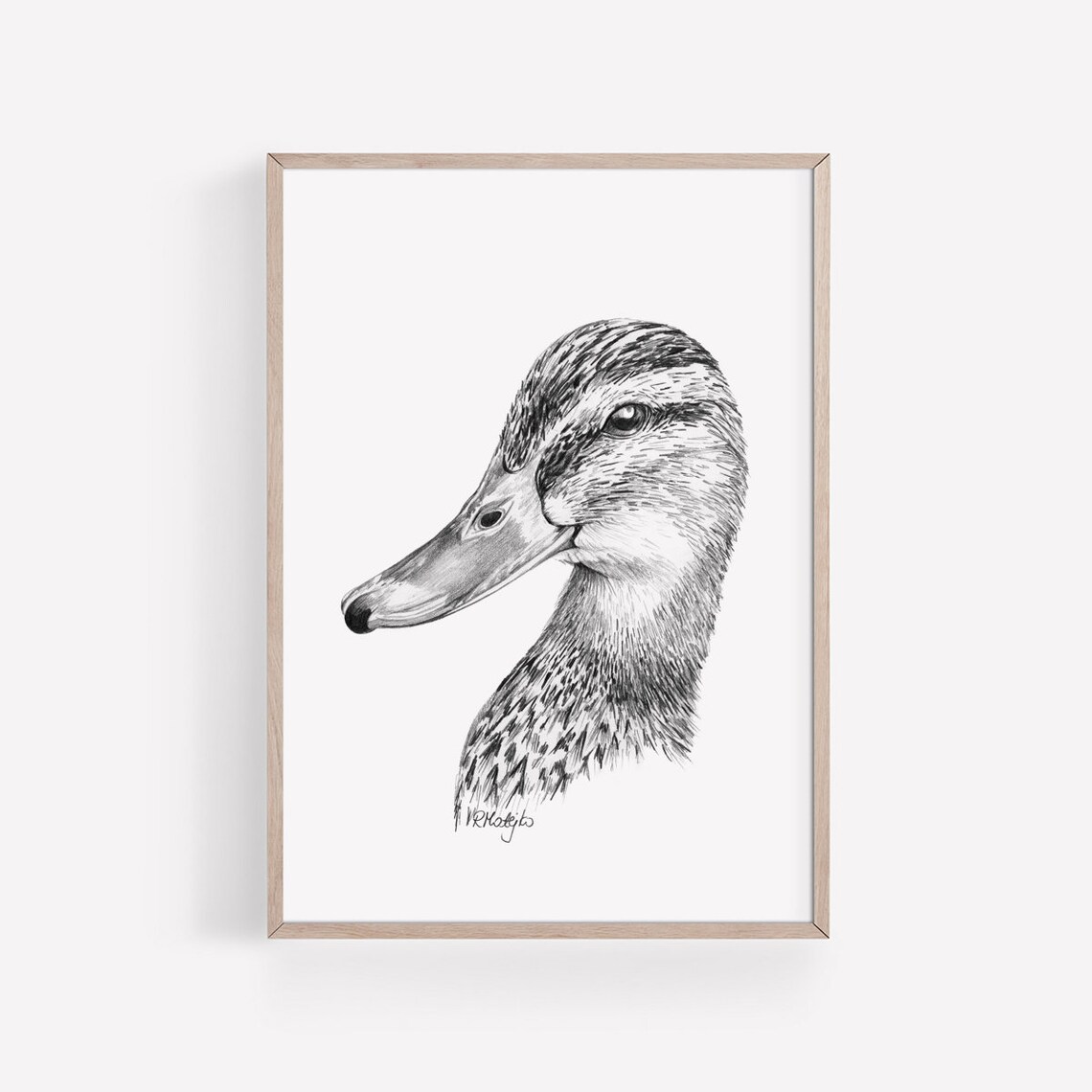 Duck Art PRINT, Duck Pencil Drawing Wall Art, Mallard Lake Coastal ...