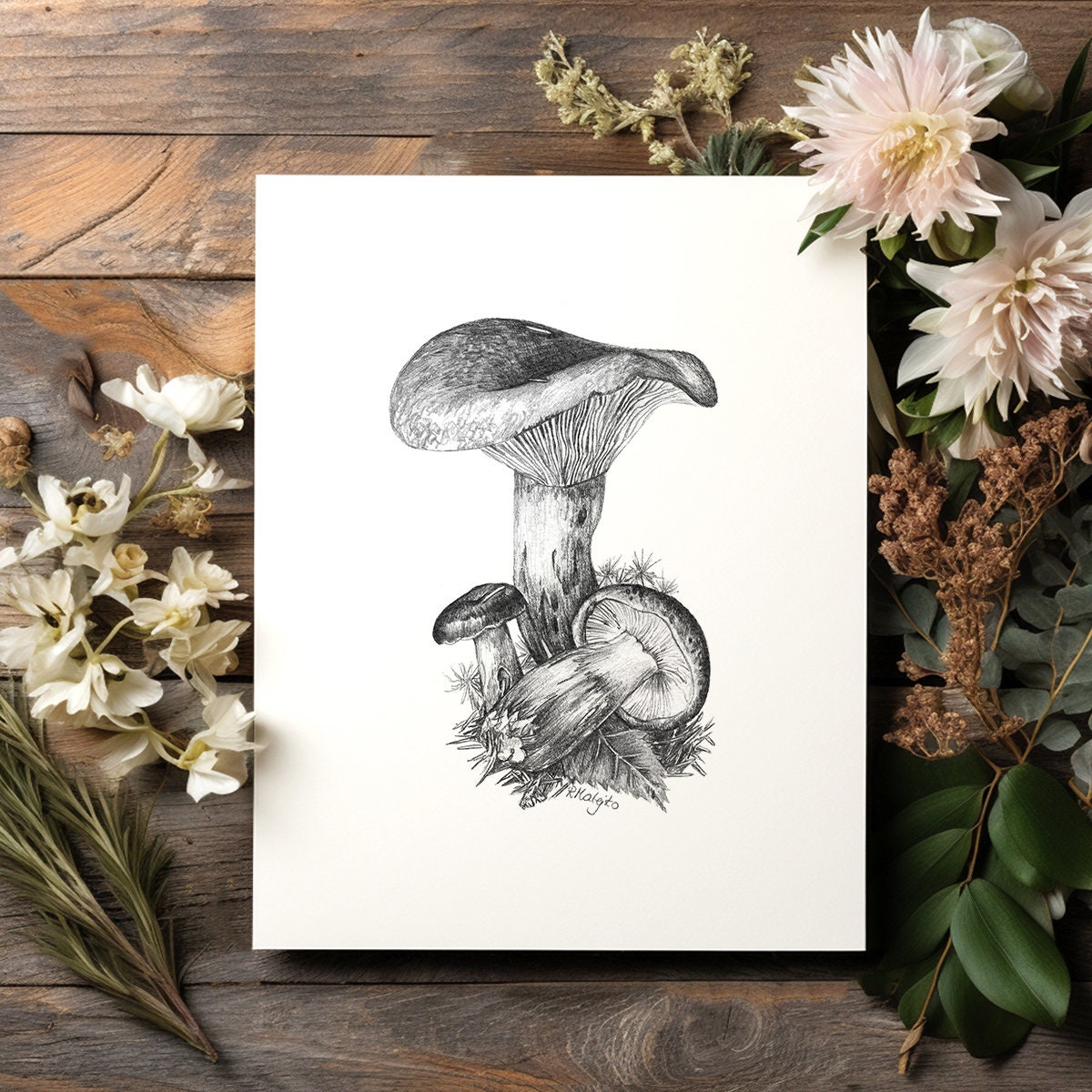 Dessins Au Crayon De Champignons Dessin Aux Champignons' Autocollant