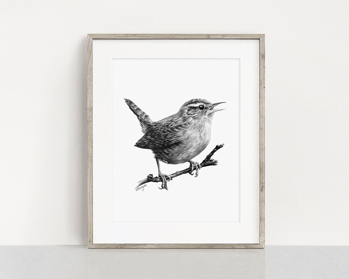 PRINTABLE Wren Art Print Wren Pencil Drawing Wall Art Garden - Etsy