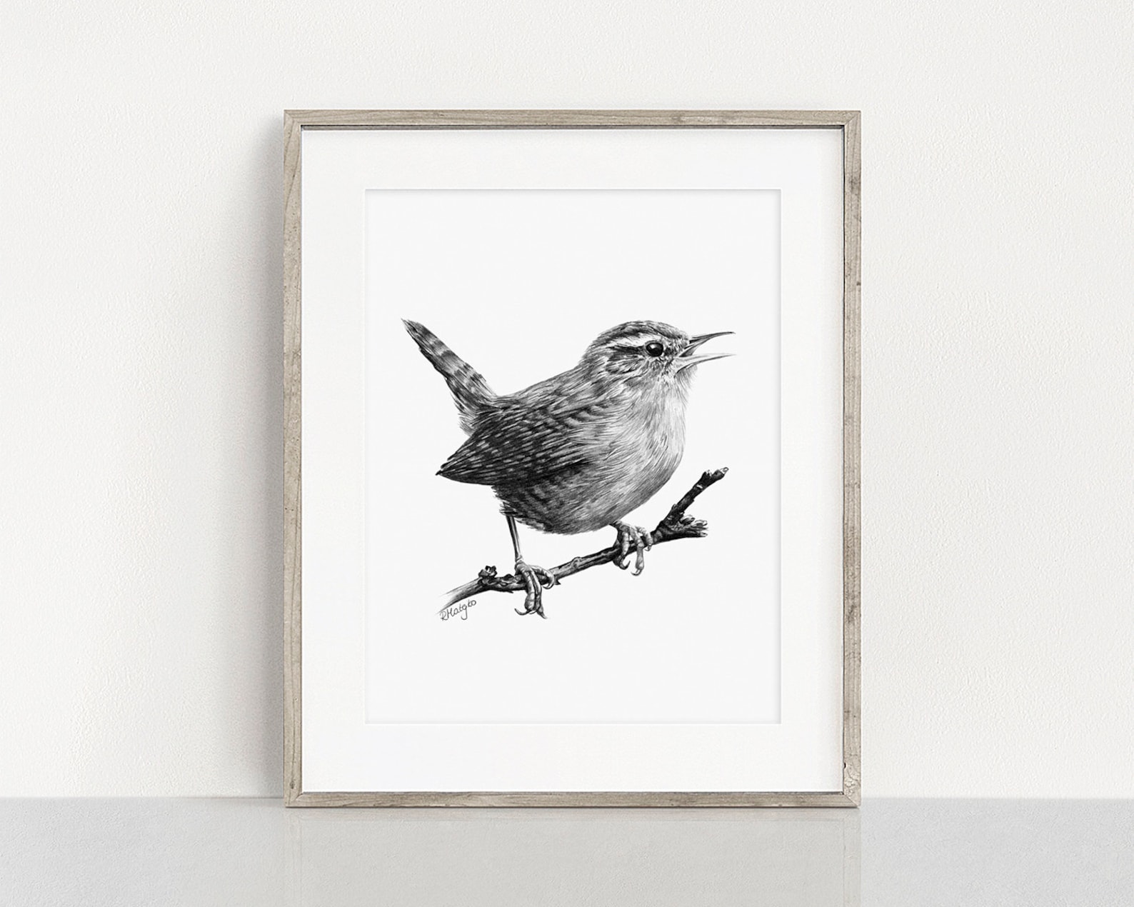 PRINTABLE Wren Art Print, Wren Pencil Drawing Wall Art, Garden Bird ...