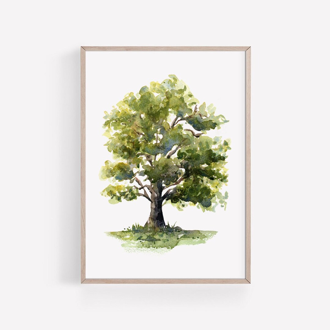 PRINTABLE American Oak Tree Art - Watercolor Oak Tree Print, Woodland ...