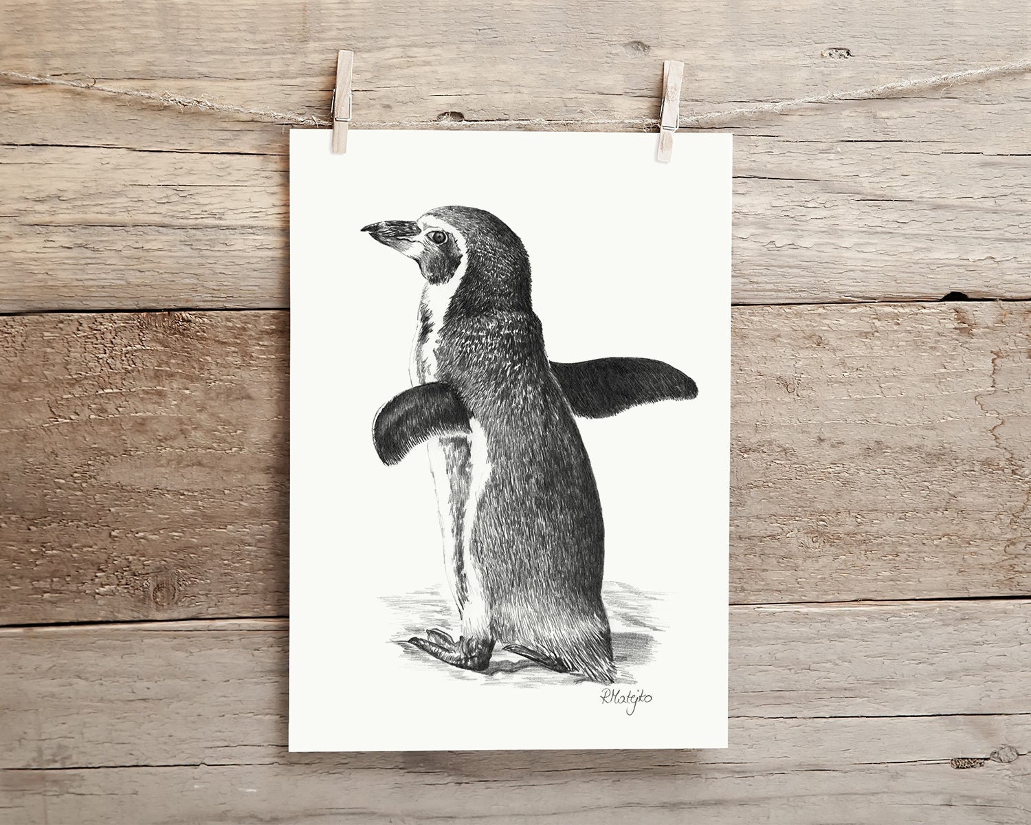 Penguin Pencil Sketch