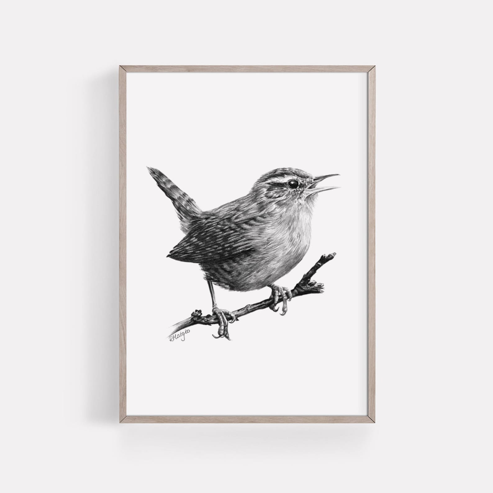 PRINTABLE Wren Art Print Wren Pencil Drawing Wall Art Garden - Etsy