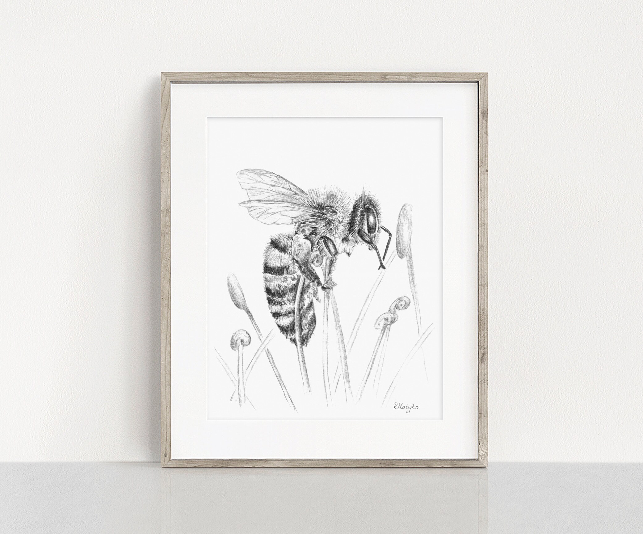 PRINTABLE Honey Bee Art Print Honey Bee Graphite Pencil - Etsy
