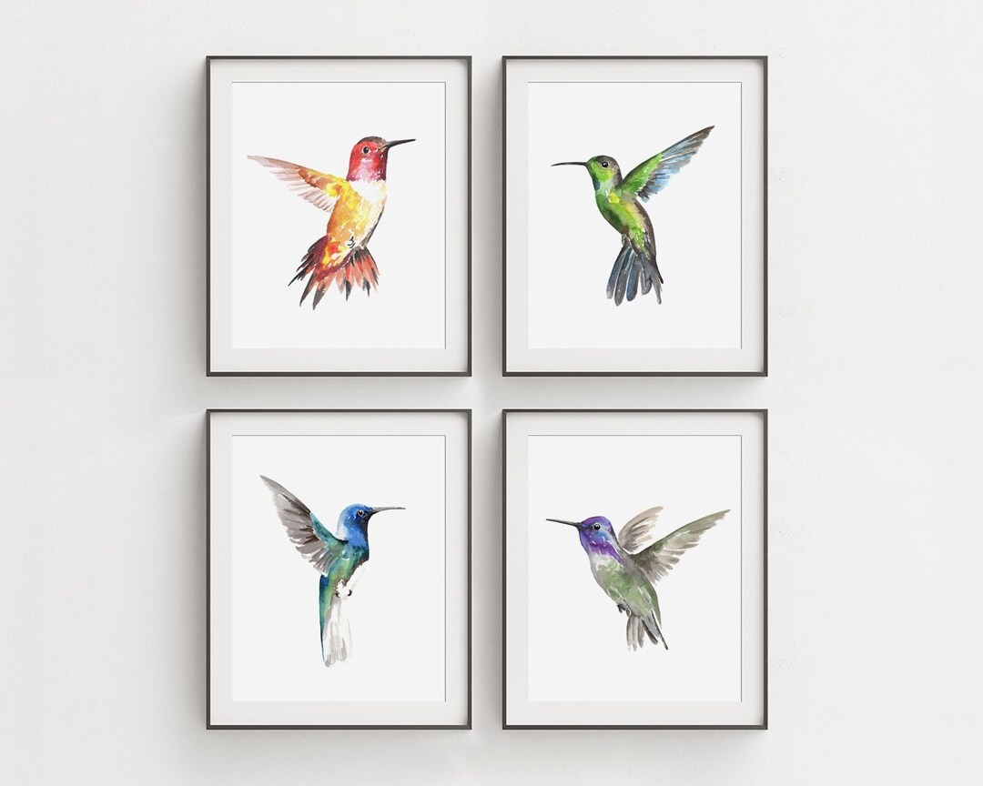 DRUCKBARE Kolibris Kunst Set von 4 - Aquarell Kolibri Gemälde, tropische amerikanische Vogel ...