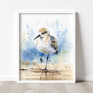 Sanderling Art PRINT, Coastal Bird Watercolor Painting Wall Art, Bird ...