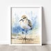 Sanderling Art PRINT, Coastal Bird Watercolor Painting Wall Art, Bird ...